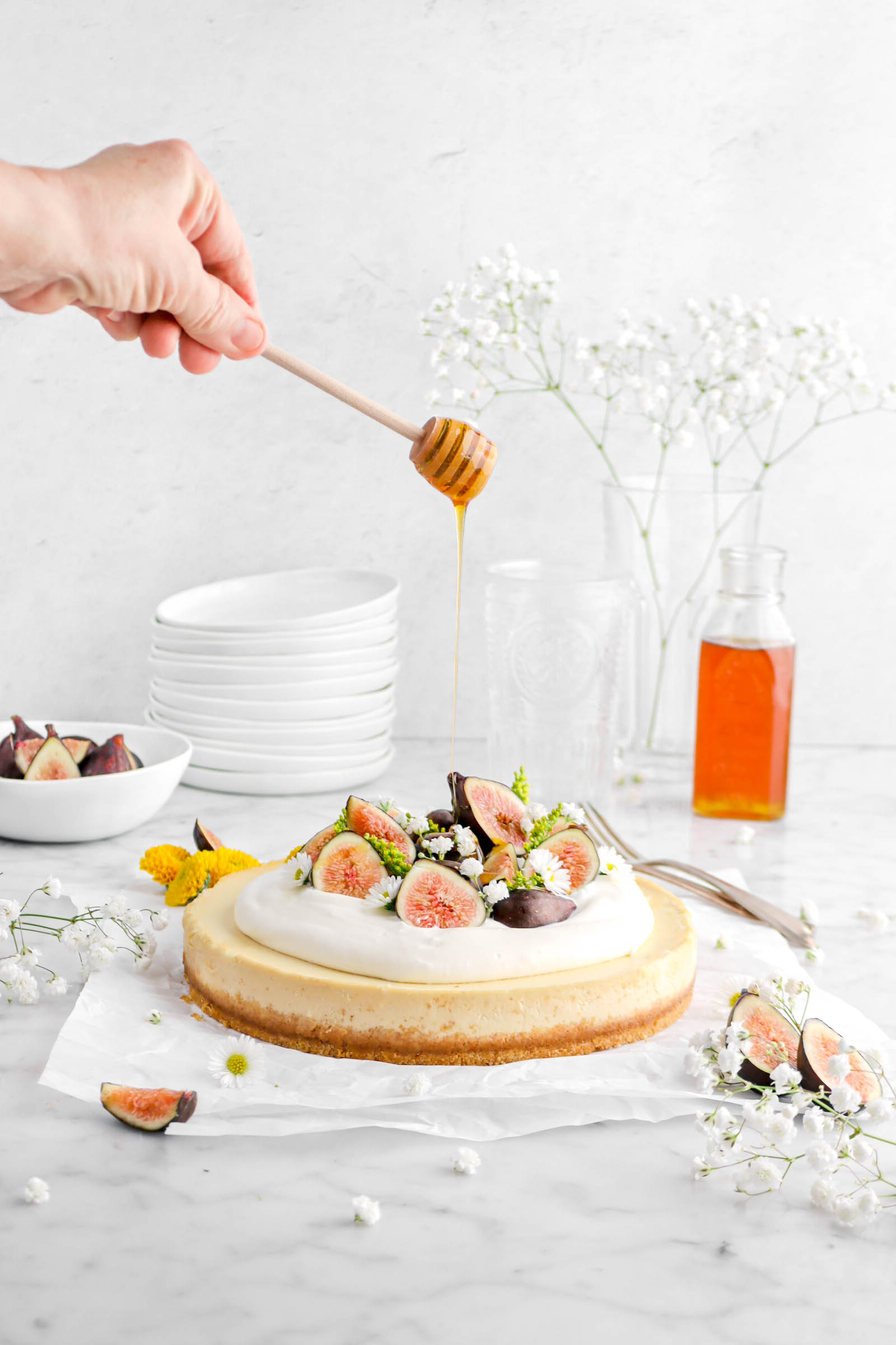 Goat Cheese and Honey Cheesecake with Honey Whipped Cream - Bakers Table